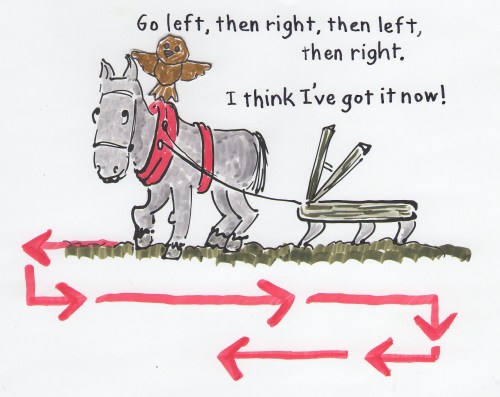 Why do we read in English from left to right? | comicphonics for early ...